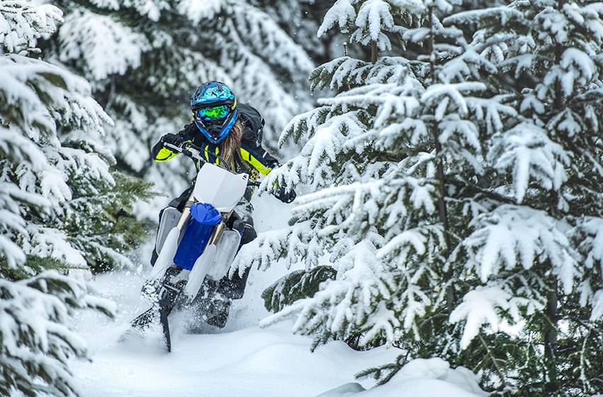 New 2019 Timbersled Aro 120 Sx in Erie, PA - Snowmobile Trader