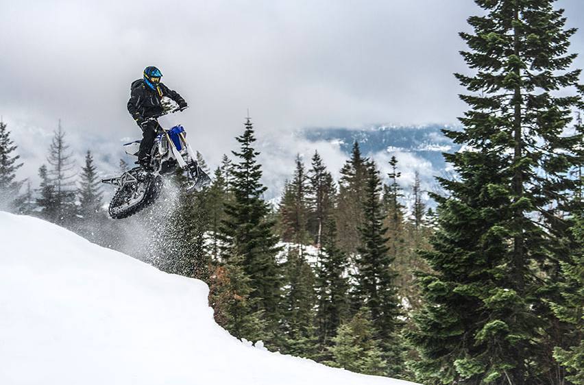 New 2019 Timbersled Aro 120 Sx in Erie, PA - Snowmobile Trader